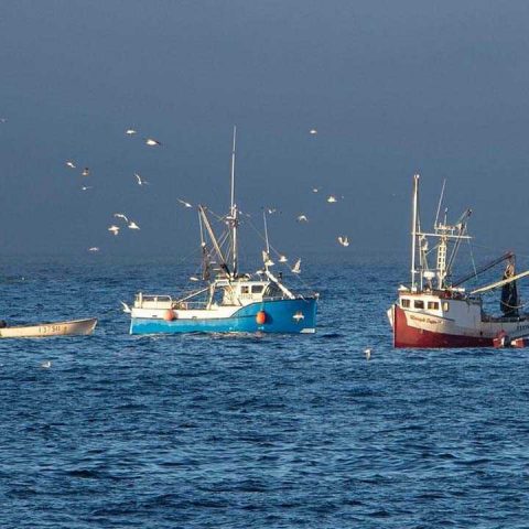 Spindrift By The Sea Inn & Cottages, Musgrave Harbour, NL.