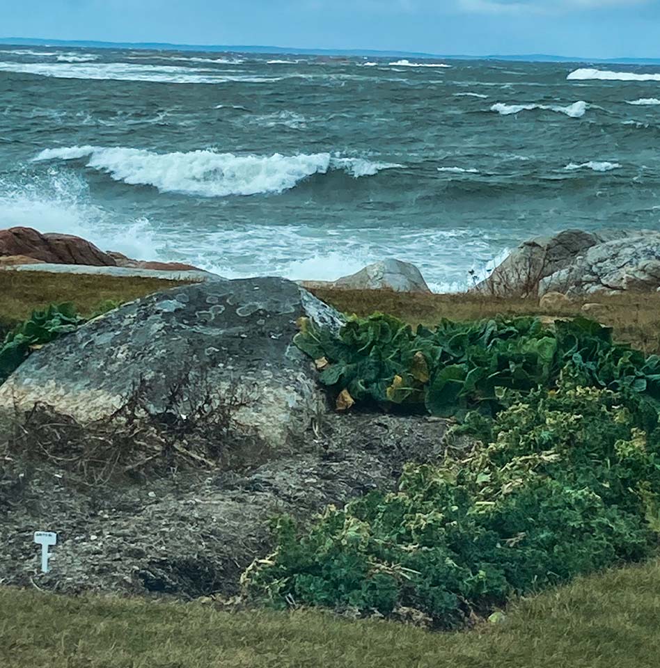 Spindrift By The Sea Inn & Cottages, Musgrave Harbour, NL.